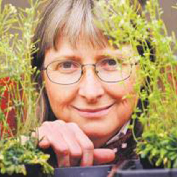 Engineering Biology | EBRC Research Roadmap