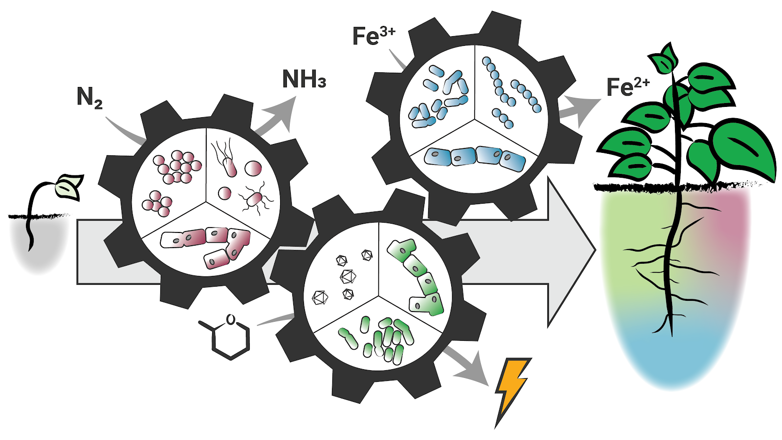 Functional Biodiversity | EBRC Research Roadmap