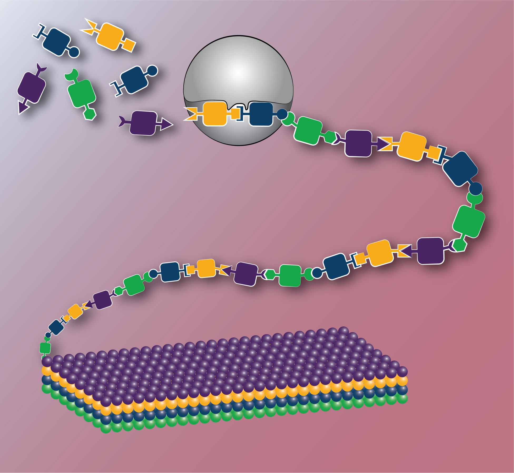 Synthesis | EBRC Research Roadmap